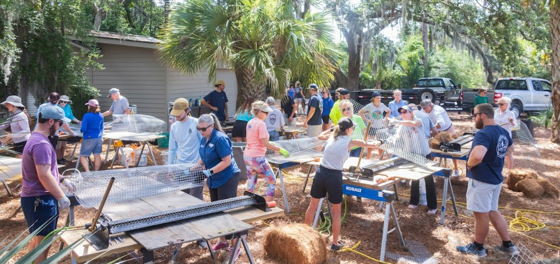 Marsh Restoration Volunteer Event